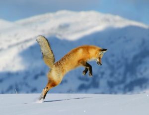 Gallery – Backcountry Adventures